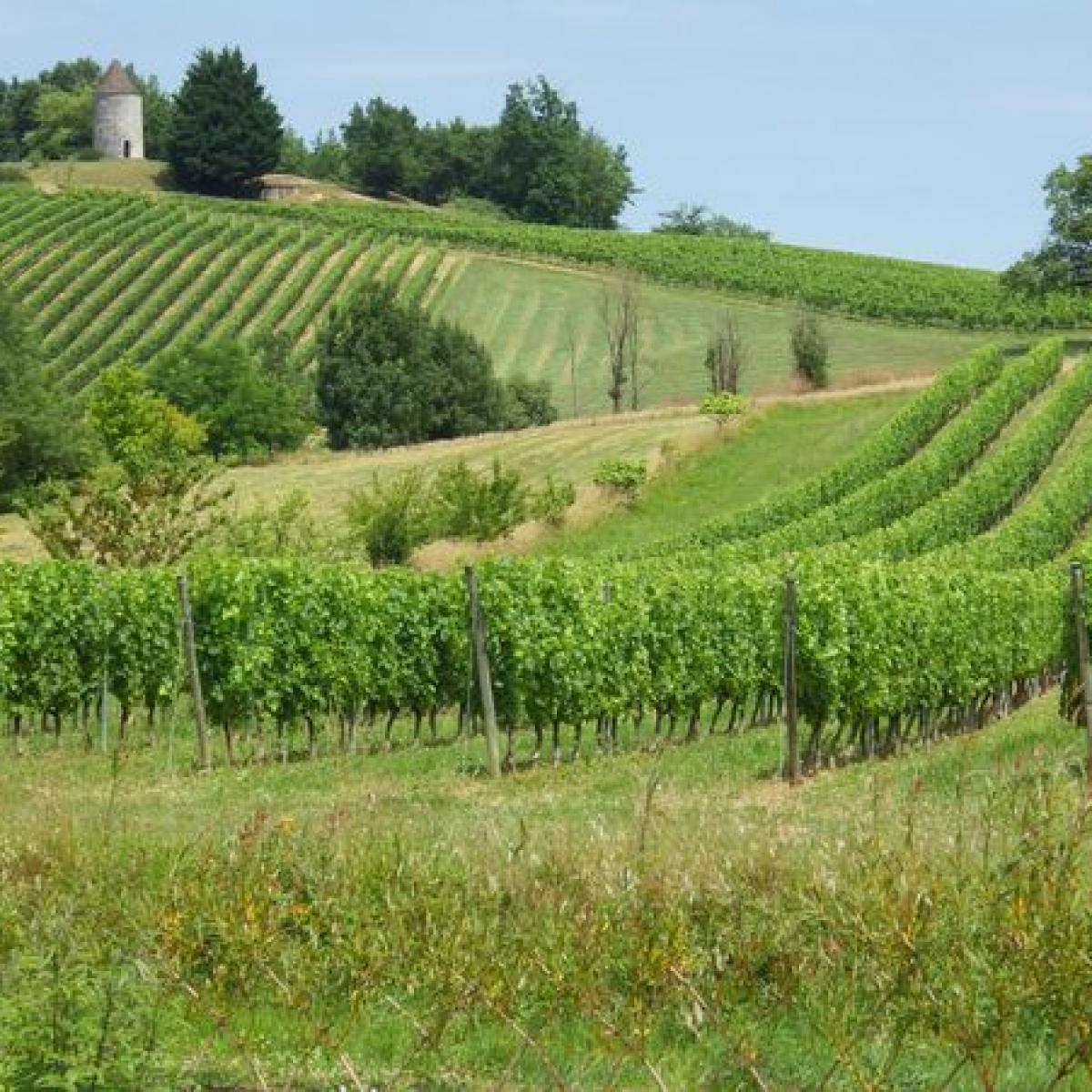 Eté actif – Autour d’Eymet et Issigeac | Dordogne Périgord Tourisme
