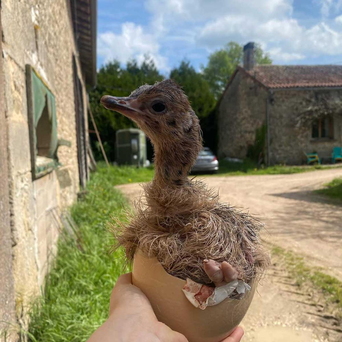 Top des spécialités périgourdines et aliments d’exception… | Dordogne ...
