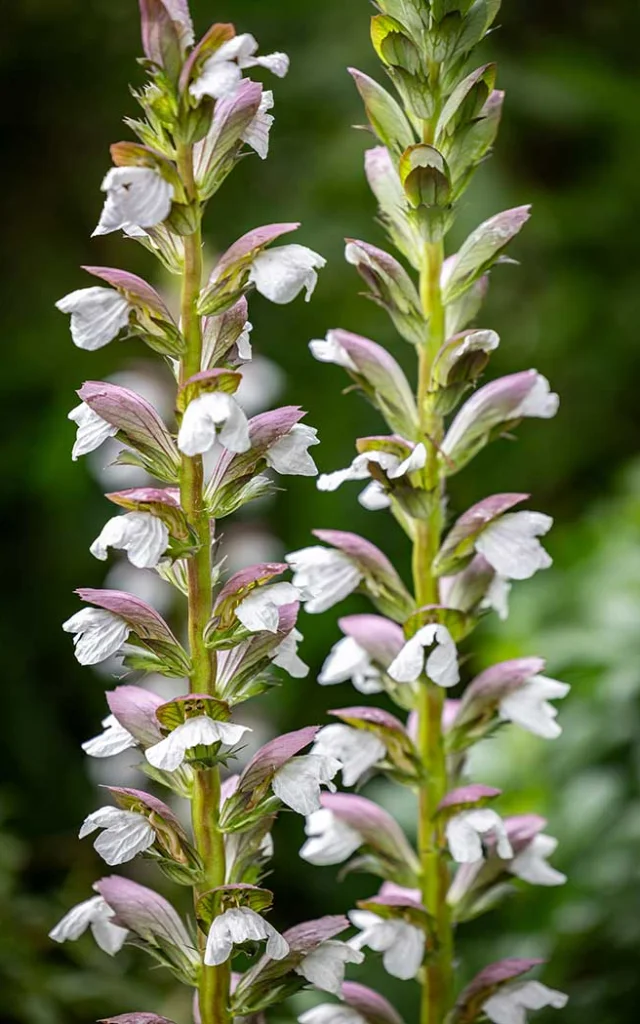 Les Jardins de Sardy : Une escapade romantique à explorer en Dordogne ...