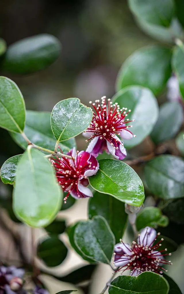 Les Jardins de Sardy : Une escapade romantique à explorer en Dordogne ...