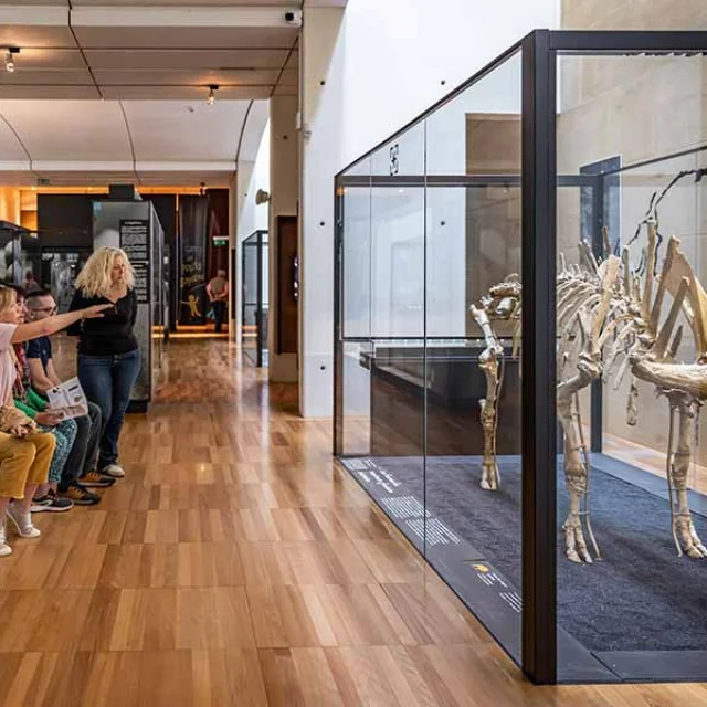 À la découverte du Musée national de Préhistoire aux Eyzies | Dordogne ...