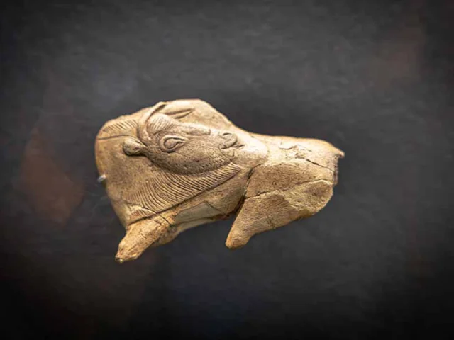 À la découverte du Musée national de Préhistoire aux Eyzies | Dordogne ...