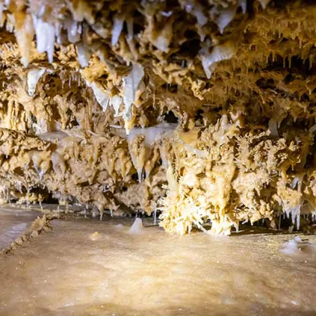 Visitez la Grotte du Grand Roc et voyagez dans les entrailles de la ...